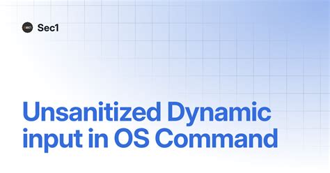 Unsanitized Dynamic Input In Os Command Sec1