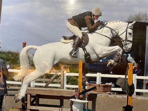 Bsps Working Hunter Pony Nursery Stakes Rihs 2022 Who S Qualified Artofit