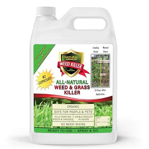 I Tested The Strongest Weed Killer On The Market Heres What Happened