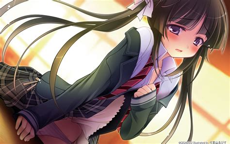 Blackhair Blush Daikanyamaebisu Hotchkiss Longhair Panties Purple
