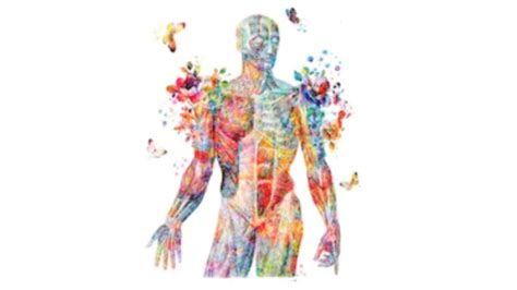 Lymphatic Technique Module 3 Plant Prana Oils