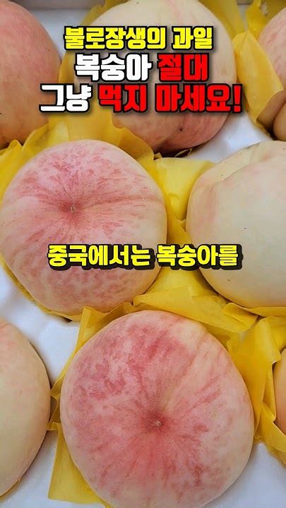 복숭아 절대 그냥 먹지 말고 이것과 같이 드세요 복숭아 효능이 팍팍 높아집니다 건강 건강정보 음식 Youtube