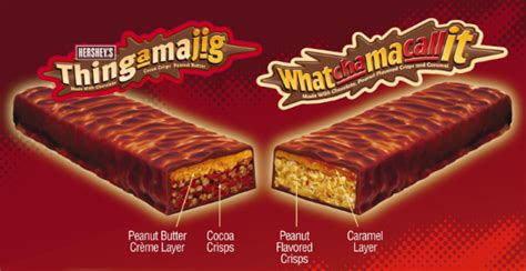 thingamajig and whatchamacallit official 600x310 sql quantum leap