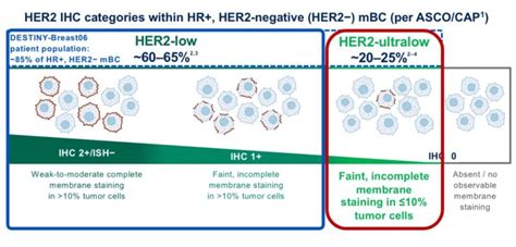 Paolo Tarantino What Is Her2 Ultralow Breast Cancer And Why