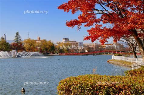 Photolibrary