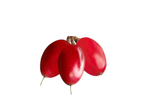 Premium Photo Miracle Fruit Is Known For Its Berry Eaten Subsequently