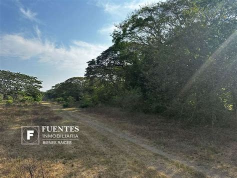 Lotes y Terrenos La Paz venta VENTA TERRENO AGRÍCOLA TECOLUCA SAN