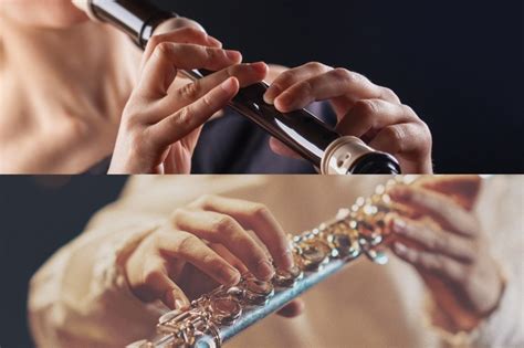 Recorder Vs Flute What S The Difference Musician Wave
