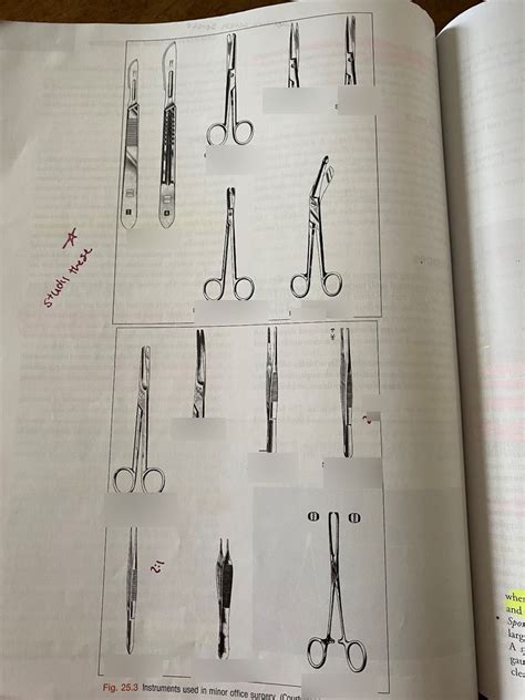 Instruments Used In Minor Office Surgery Diagram Quizlet