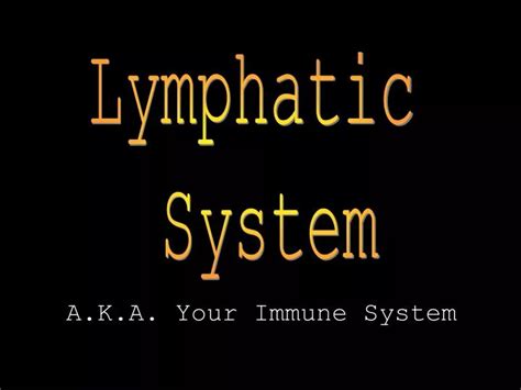 Ppt Lymphatic System Powerpoint Presentation Free Download Id5375999