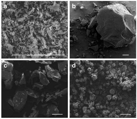 Hydroxypropyl β Cyclodextrin For Delivery Of Baicalin Via Inclusion Complexation By