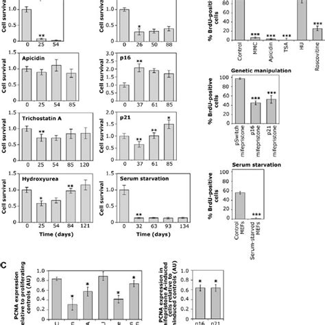 The Cag·ctg Repeat Expansion Continues To Expand In Genetically