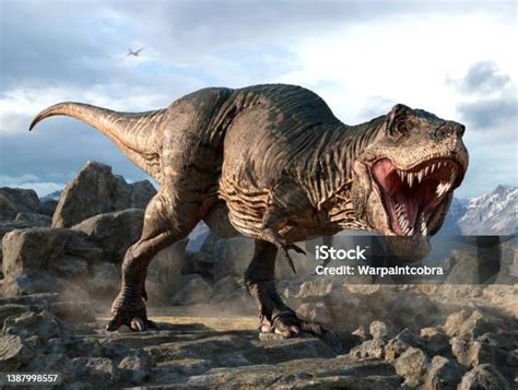 Tyrannosaurus จากภาพประกอบ 3 มิติยุคครีเทเซียส ภาพสต็อก ดาวน์โหลดรูปภาพตอนนี้ ไทแรนโนซอรัส