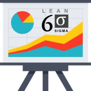 Lean Six Sigma The Definitive Guide Ssgi