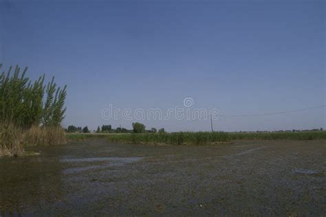 Water And Grass Stock Image Image Of Plain Road Tower 364707197
