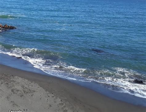 Playa Loncura Opiniones Chileplayas