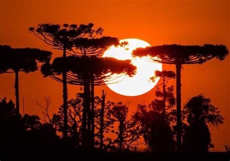 Alerta indica onda de calor riscos à saúde em cidades do Paraná veja lista Paraná G