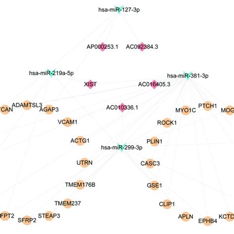 Flow Chart Of Constructing Lncrnas Mirnas Mrnas Cerna Network