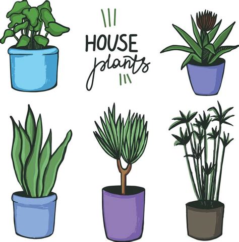 Floor Plan Plants Vector Art Icons And Graphics For Free Download