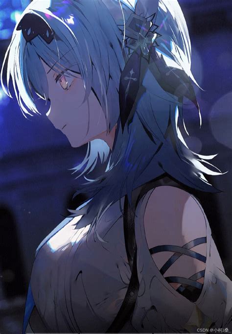 C：vector（题目篇）vector练习题 Csdn博客