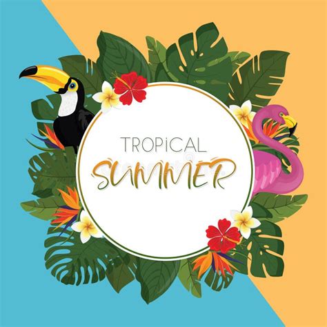 De Tropische Zomer Om Kaderontwerp Met Exotische Palmbladen Hibiscus