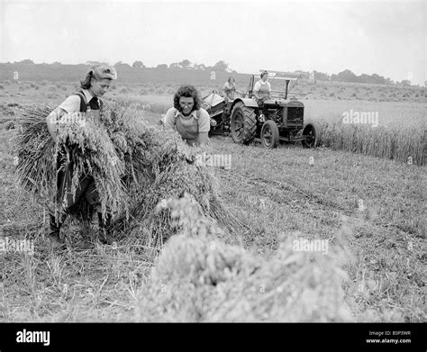 Land Girls Harvesting During Ww2 1940 Women Doing Mens Jobs During The
