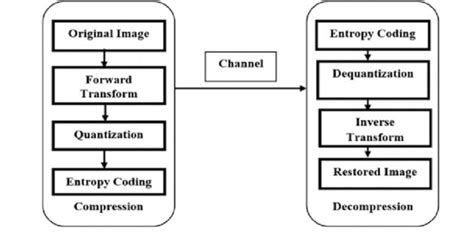 Lossy Vs Lossless Compression Comprehensive Analysis Shortpixel Blog
