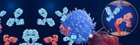 Biopotency Assays Institute Krems Bioanalytics