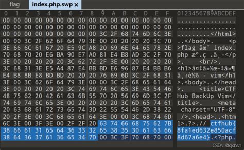 Ctfhub Web信息泄露通关攻略ctfhub的备份文件 Csdn博客