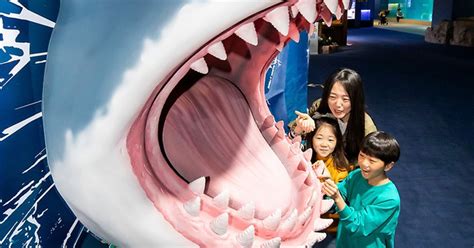 롯데월드 아쿠아리움 상어 포토존 새로 선보여