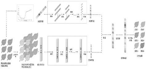 一种联合空间特征和光谱特征的点云分类方法