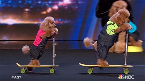 Scooter S