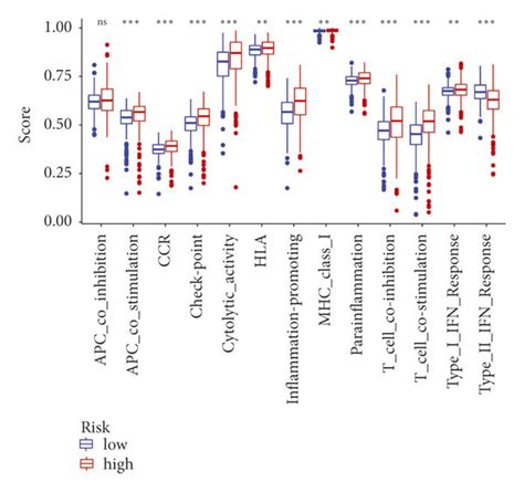 A Immune Cell Subpopulations And Associated Functions Using Ssgsea