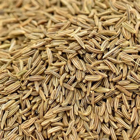 Memsaab Caraway Seeds House Of Raja`s Indian Superstore In Bolton