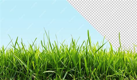 Premium Psd Fresh Green Grass Mockup