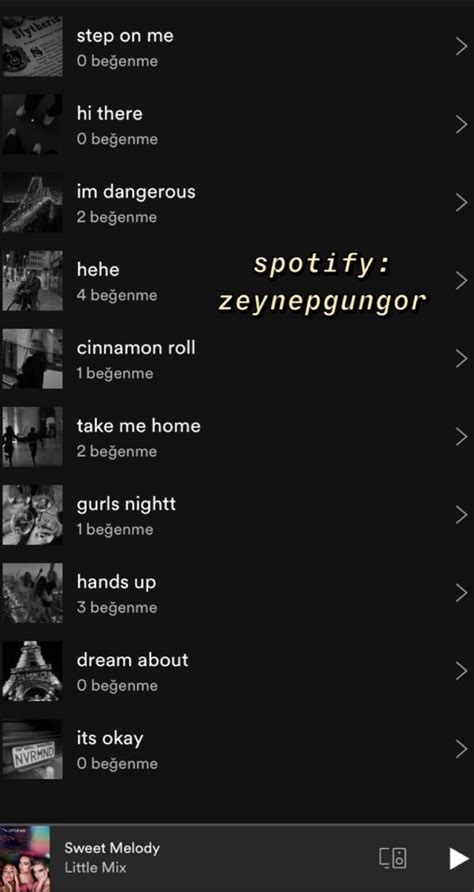 Spotify Playlist Name Ideas