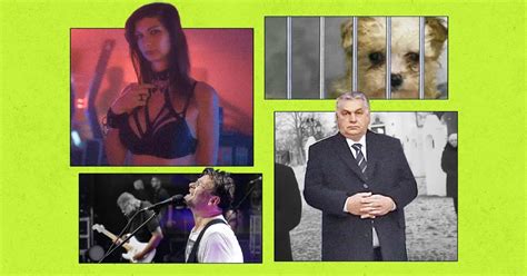Telex Tíz videó amit látnod kell mielőtt valamilyen másik videót