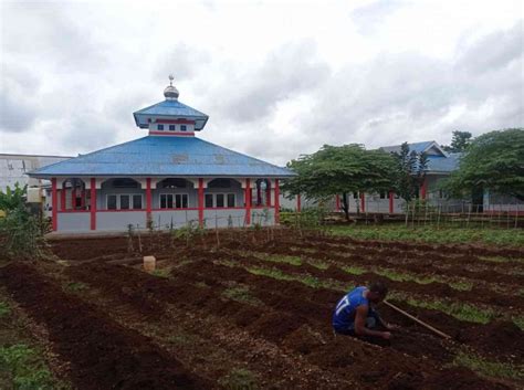 Tetap Produktif, WBP Lapas Saumlaki Kelola Lahan untuk Bercocok Tanam - Kompasiana.com