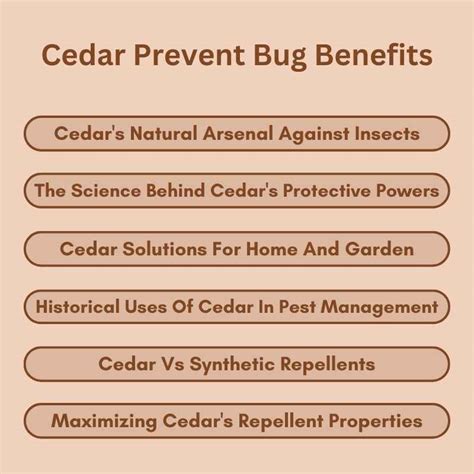 Cedar Prevent Bug Benefits Natural Insect Repellent Secrets