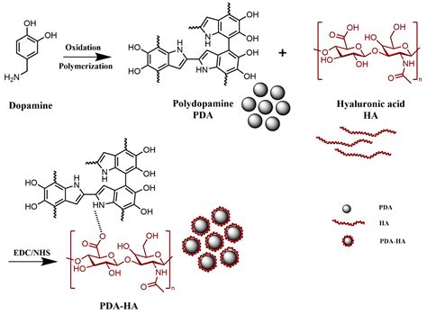 Development And Characterization Of Hyaluronic Acid Graft Modified