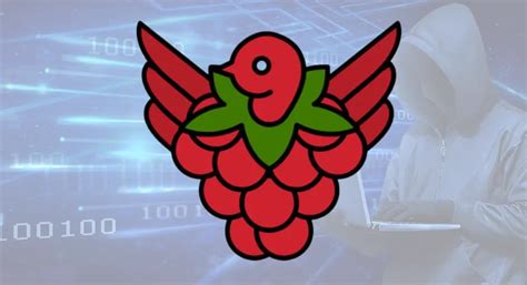Raspberry Robin Linked To 200 Unique Domains Operated By Threat Actors