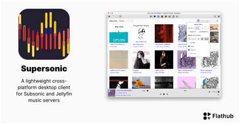 install supersonic on linux flathub