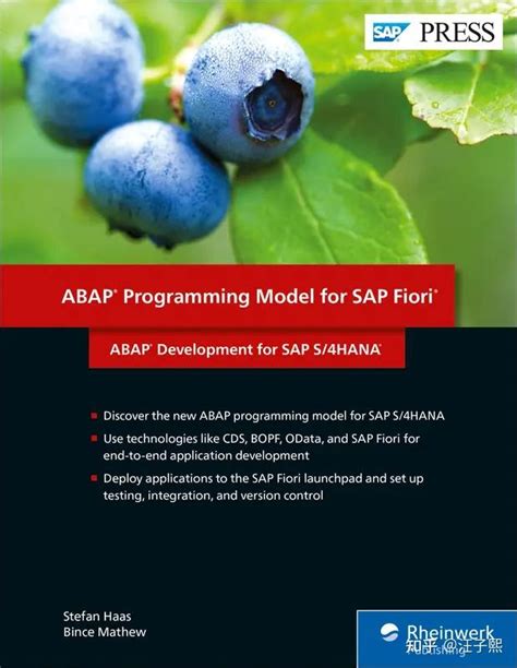 现代 Abap 编程模型的演进史 知乎