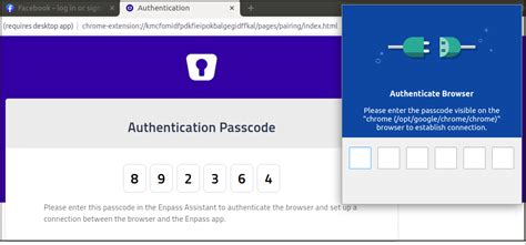 setting up extensions — enpass user manual desktop 6 7 documentation