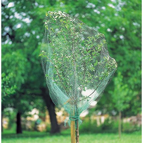 Filet De Protection Pour Arbre Fruitier Jardin Et Saisons