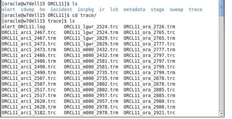 How To Multiplex Control Files Pkworlz