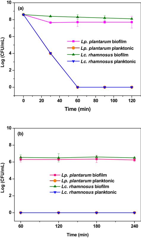 Viability Of Lactic Acid Bacteria Biofilm During The Exposure To A