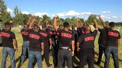 The Summer Pfdj Died A Dossier Eritrea Focus
