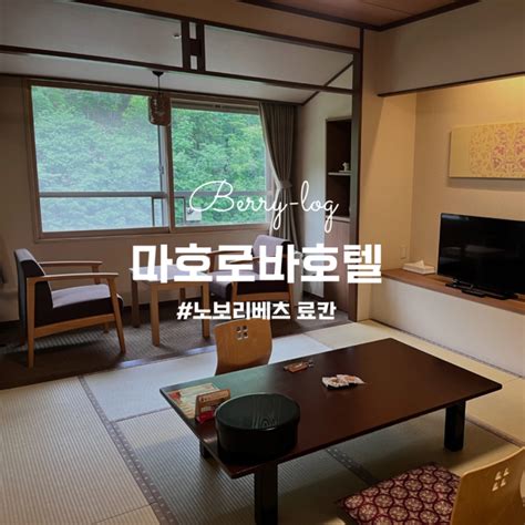일본 홋카이도 삿포로여행 노보리베츠 료칸 마호로바호텔 온천 대욕장 이용후기 네이버 블로그