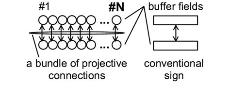 Buffer Neural Fields And Connection Bundles Download Scientific Diagram